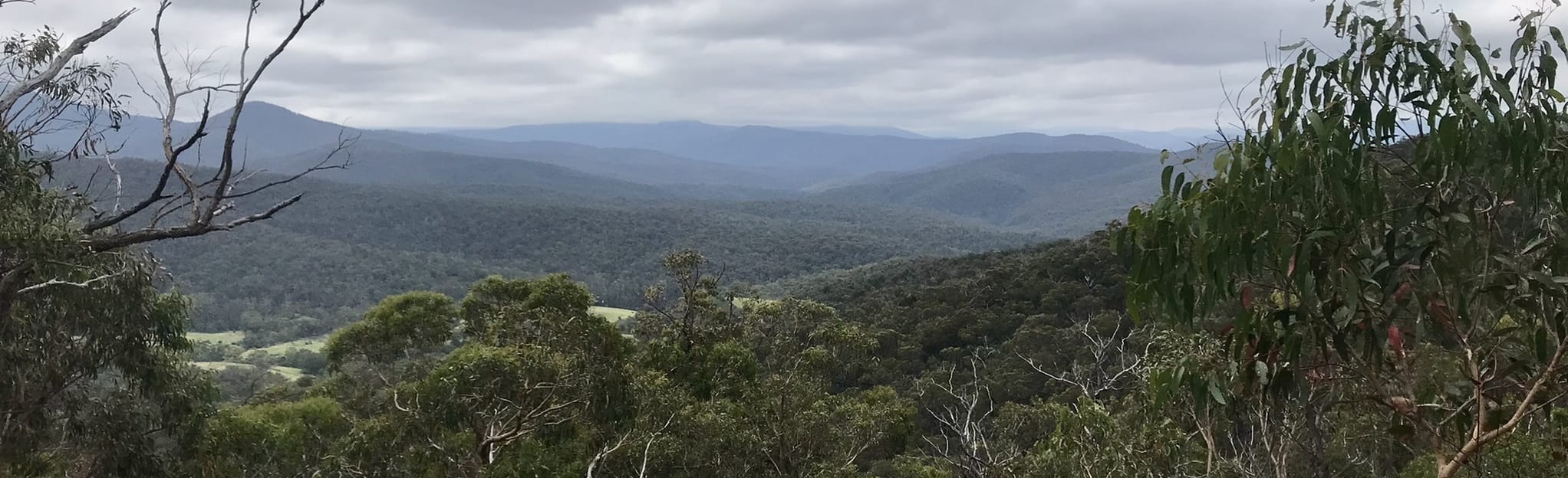 Lookout to Mount Hedrick Loop: 10 Reviews, Map - Victoria, Australia ...