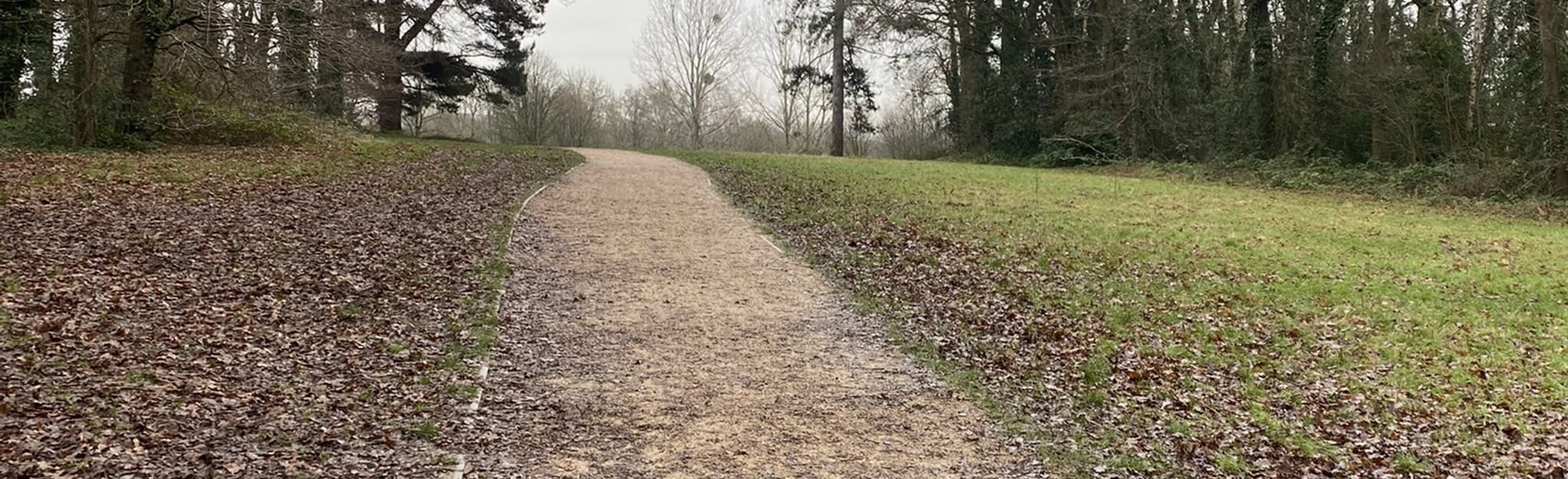 Fleming Park Parkland Dragonfly Trail, Hampshire, England - 33 Reviews ...