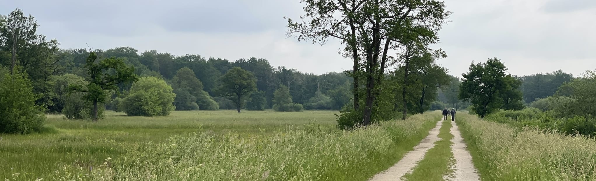 De Bruuk: 4 Reviews, 4 Photos, Map - Gelderland, Netherlands | AllTrails