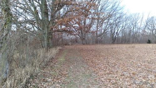 Best Hikes and Trails in Forrest Nature Preserve | AllTrails