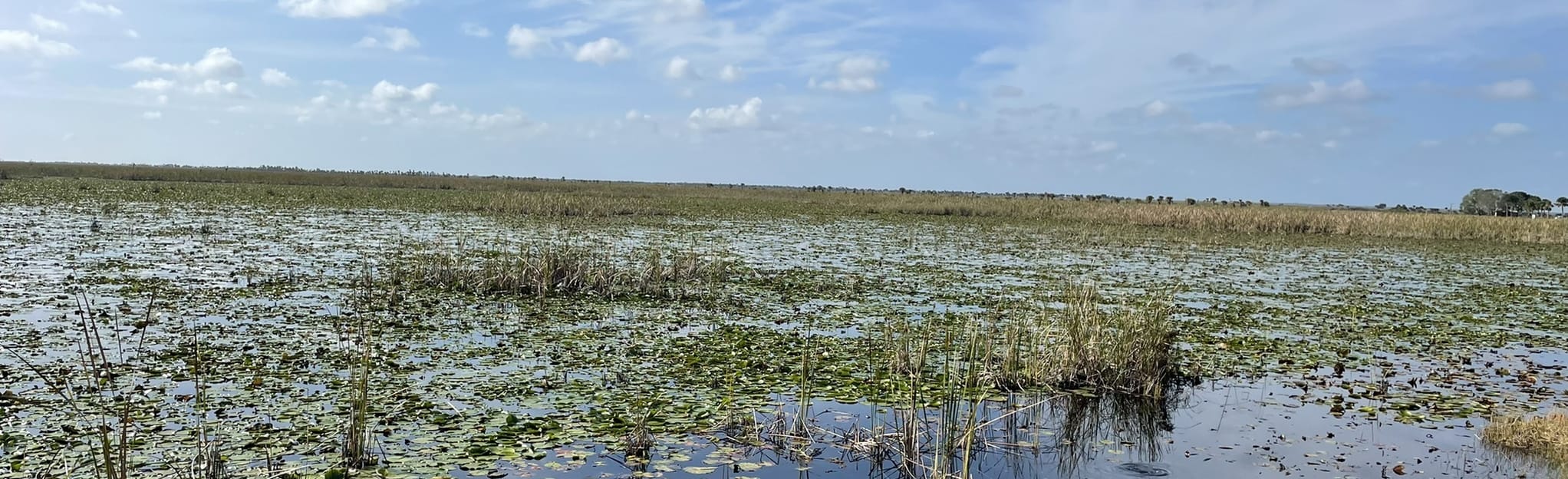 Three Forks Marsh Trail, Florida - 29 Reviews, Map | AllTrails