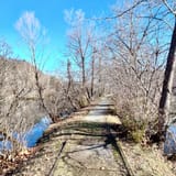 Erwin Linear Trail, Tennessee - 123 Reviews, Map | AllTrails