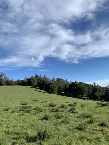 10 Best Hikes and Trails in Wunderlich County Park | AllTrails