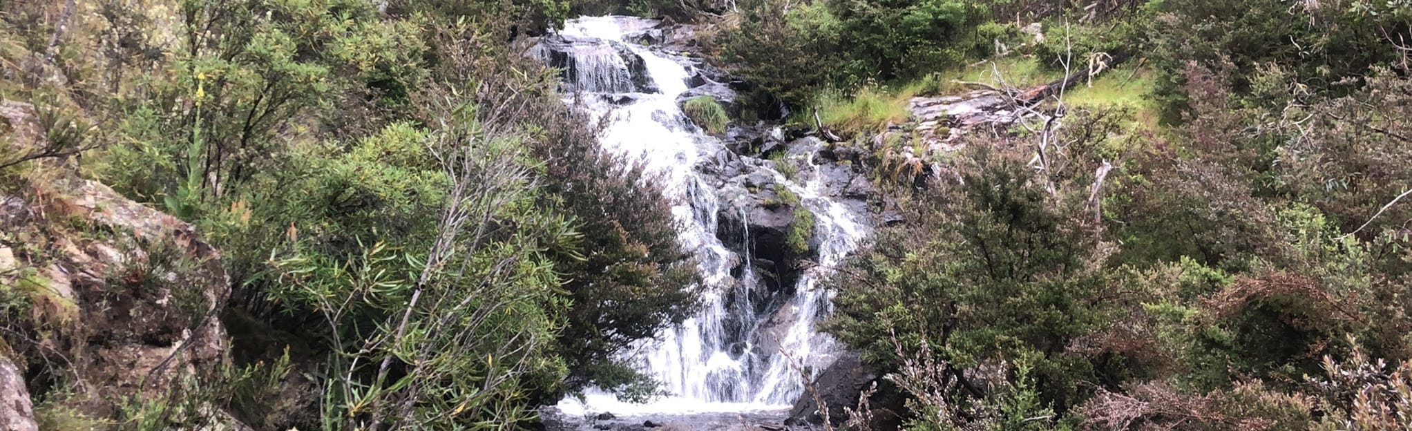 Waterfall Walking Track, New South Wales, Australia - 220 Reviews, Map ...