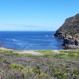 Shipsterns Bluff Loop, Tasmania, Australia - 81 Reviews, Map | AllTrails