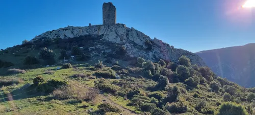 Best Hikes and Trails in Massane Forest Nature Reserve | AllTrails