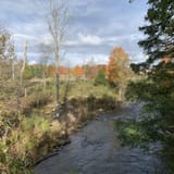 Boardman/Ottaway River Trail, Michigan - 205 Reviews, Map | AllTrails