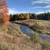 Boardman/Ottaway River Trail, Michigan - 205 Reviews, Map | AllTrails