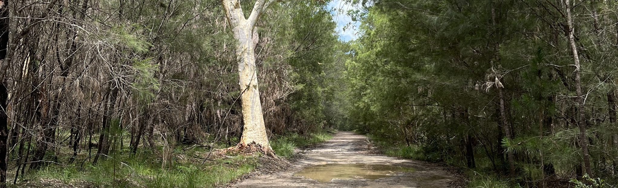 Cave Road Circuit | Map, Guide - Queensland, Australia | AllTrails