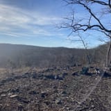 Oak Ridge Trail, Missouri - 171 Reviews, Map | AllTrails