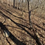 Oak Ridge Trail, Missouri - 171 Reviews, Map | AllTrails