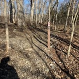 Oak Ridge Trail, Missouri - 171 Reviews, Map | AllTrails