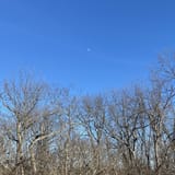 Oak Ridge Trail, Missouri - 171 Reviews, Map | AllTrails