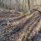 Oak Ridge Trail, Missouri - 170 Reviews, Map | AllTrails