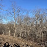 Oak Ridge Trail, Missouri - 171 Reviews, Map | AllTrails
