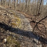 Oak Ridge Trail, Missouri - 171 Reviews, Map | AllTrails