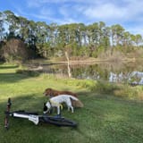 Shadow Bay Park Loop, Florida - 198 Reviews, Map | AllTrails