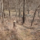 Perry Lake Hiking Trail, Kansas - 117 Reviews, Map | AllTrails