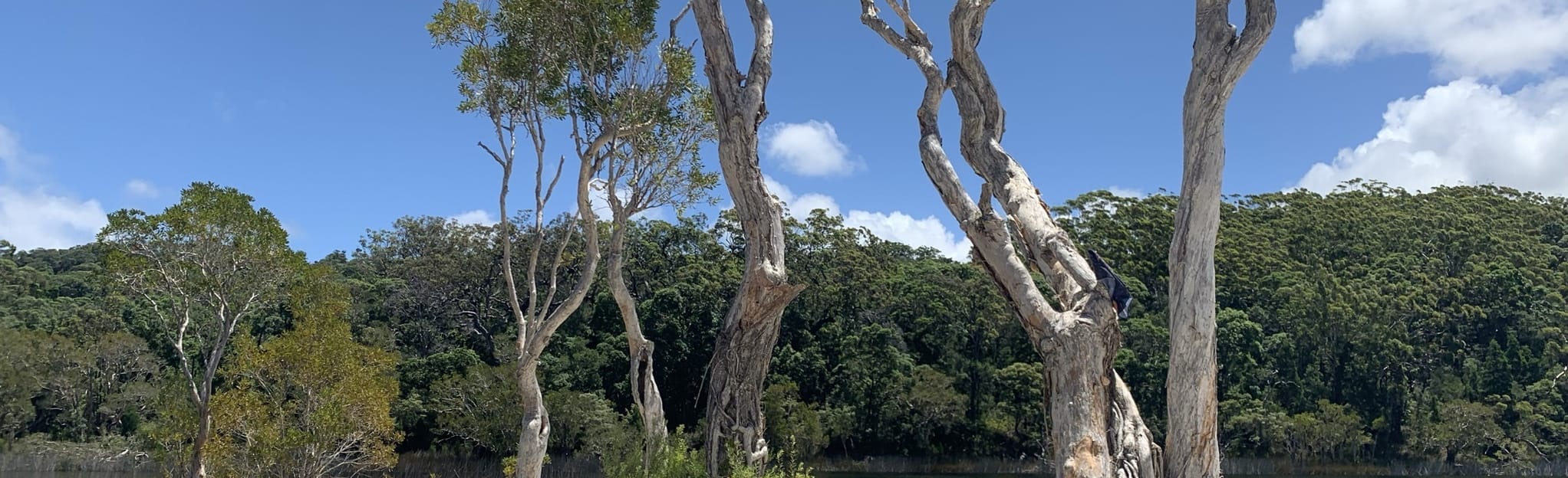 Cooloola Great Walk: Rainbow Beach - Tewantin: 20 Reviews, Map ...