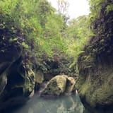 Patuna Chasm Walk, Wellington, New Zealand - 29 Reviews, Map | AllTrails