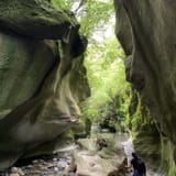 Patuna Chasm Walk, Wellington, New Zealand - 29 Reviews, Map | AllTrails