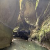 Patuna Chasm Walk, Wellington, New Zealand - 29 Reviews, Map | AllTrails