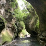 Patuna Chasm Walk, Wellington, New Zealand - 33 Reviews, Map | AllTrails
