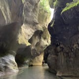 Patuna Chasm Walk, Wellington, New Zealand - 29 Reviews, Map | AllTrails