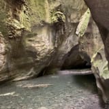 Patuna Chasm Walk, Wellington, New Zealand - 29 Reviews, Map | AllTrails