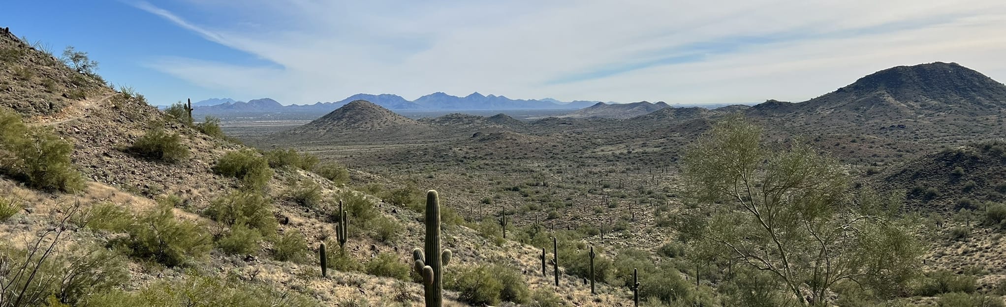 Hawk's Nest/Desert Tortoise/Dixie Mountain Loop: 1254 Reviews, Map ...