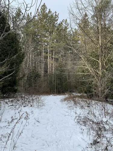 10 Best Easy Trails in Puslinch | AllTrails