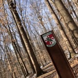 Avalon Loop Trail, Maryland - 293 Reviews, Map | AllTrails