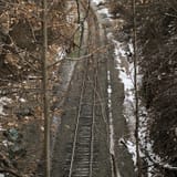 Avalon Loop Trail, Maryland - 293 Reviews, Map | AllTrails