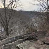 Avalon Loop Trail, Maryland - 293 Reviews, Map | AllTrails