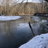 Avalon Loop Trail, Maryland - 293 Reviews, Map | AllTrails