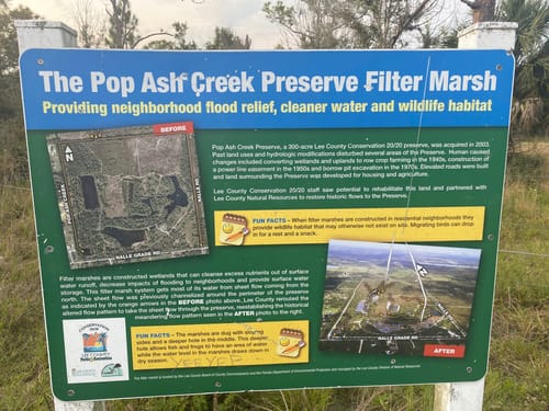 Best Hikes and Trails in Pop Ash Creek Preserve | AllTrails