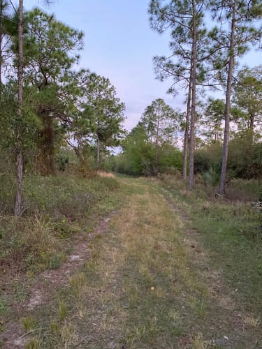 Best Hikes and Trails in Pop Ash Creek Preserve | AllTrails