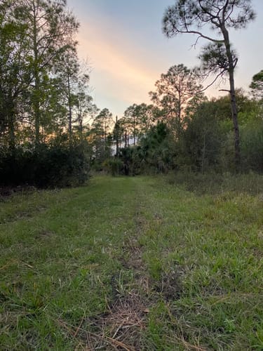 Best Hikes and Trails in Pop Ash Creek Preserve | AllTrails