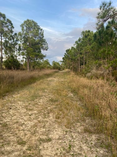 Best Hikes and Trails in Pop Ash Creek Preserve | AllTrails