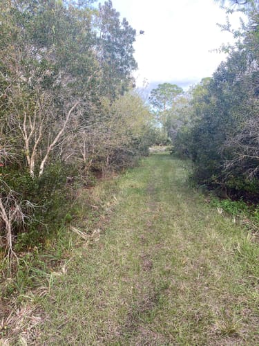 Best Hikes and Trails in Pop Ash Creek Preserve | AllTrails