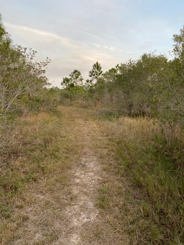 Best Hikes and Trails in Pop Ash Creek Preserve | AllTrails