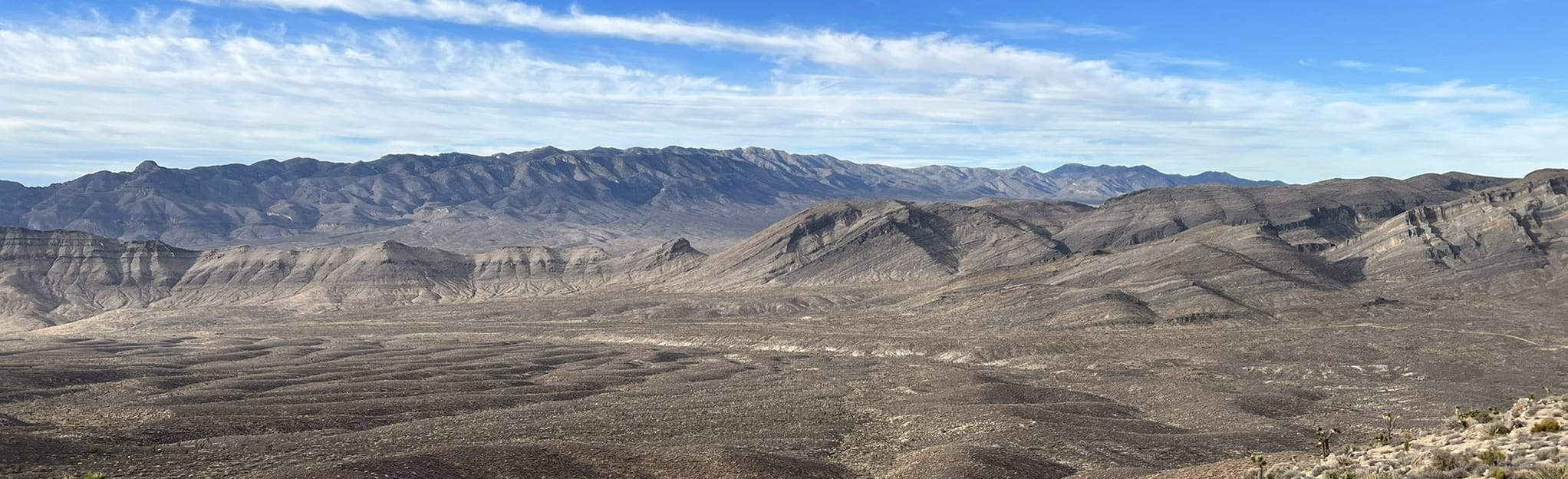 Gass Peak Trail, Nevada - 197 Reviews, Map | AllTrails
