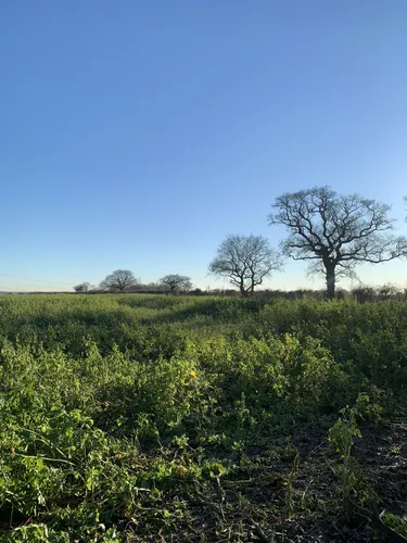 10 Best Trails, Walks, and Paths in Saffron Walden | AllTrails