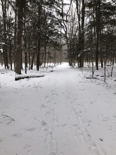 Best Hikes and Trails in Indian Point Provincial Park | AllTrails