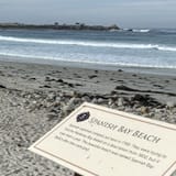 Spanish Bay Trail, California - 287 Reviews, Map | AllTrails