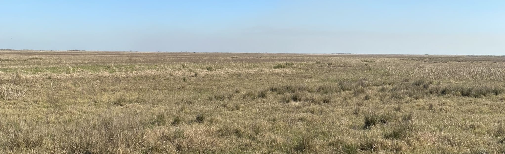 Hackberry Trail, Texas - 8 Reviews, Map | AllTrails