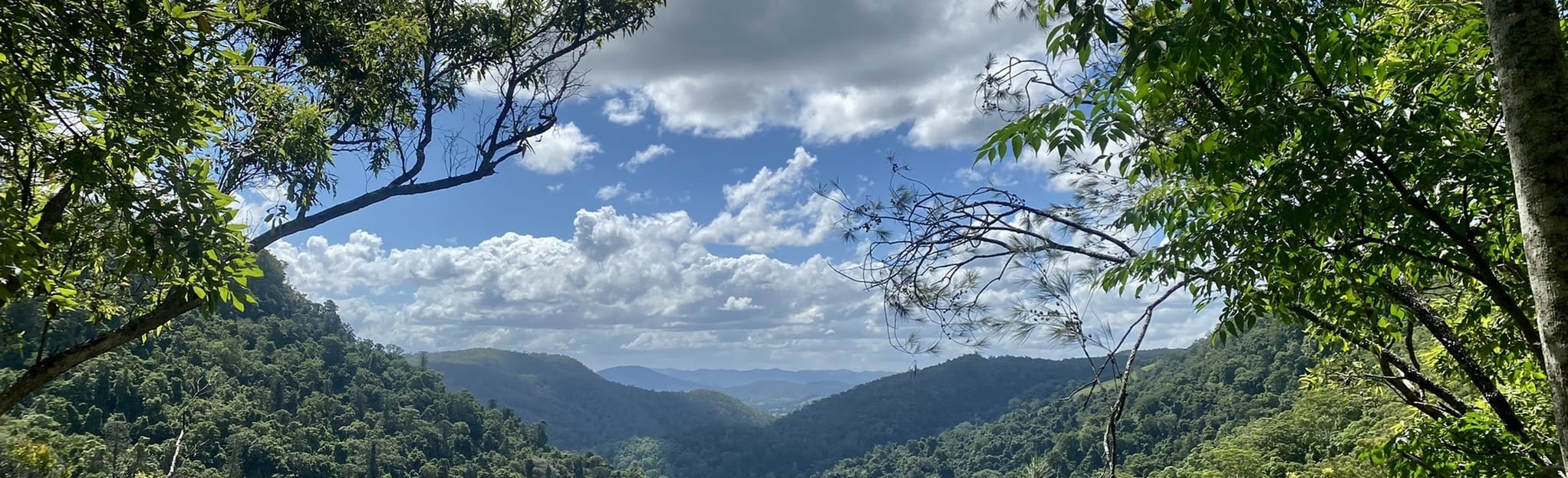 Kondalilla Falls and Rock Pools via Great Walk Loop - Queensland ...