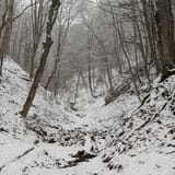 Parlee Brook Amphitheatre Trail, New Brunswick, Canada - 203 Reviews ...