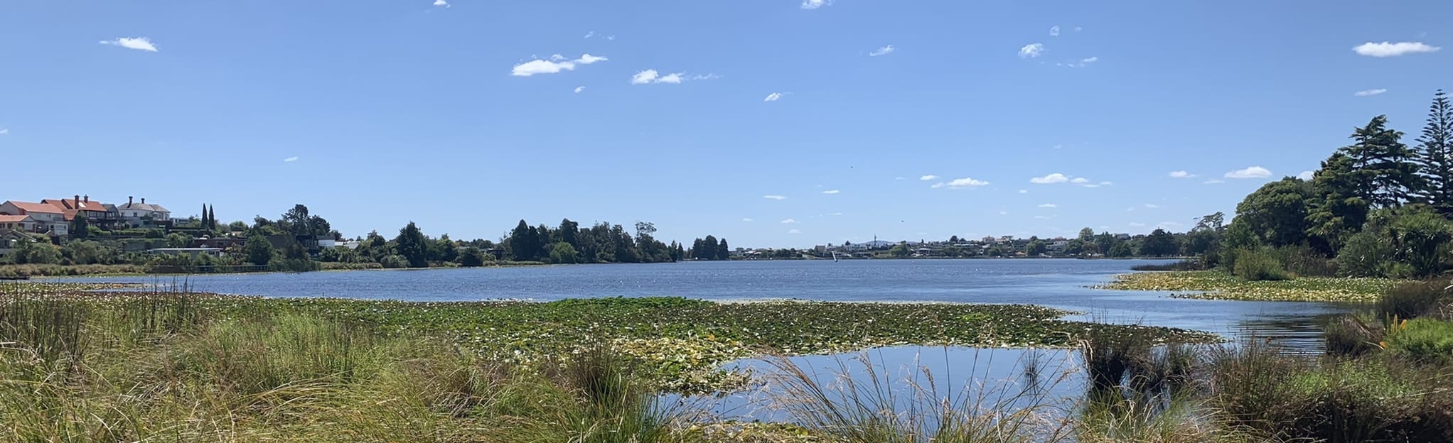 Hamilton Lake Domain Walkway: 208 Reviews, Map - Waikato, New Zealand ...