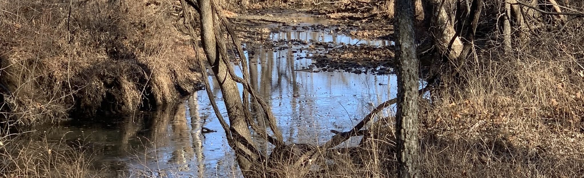 Deer Run Nature Trail: 8 Reviews, Map - Kansas | AllTrails